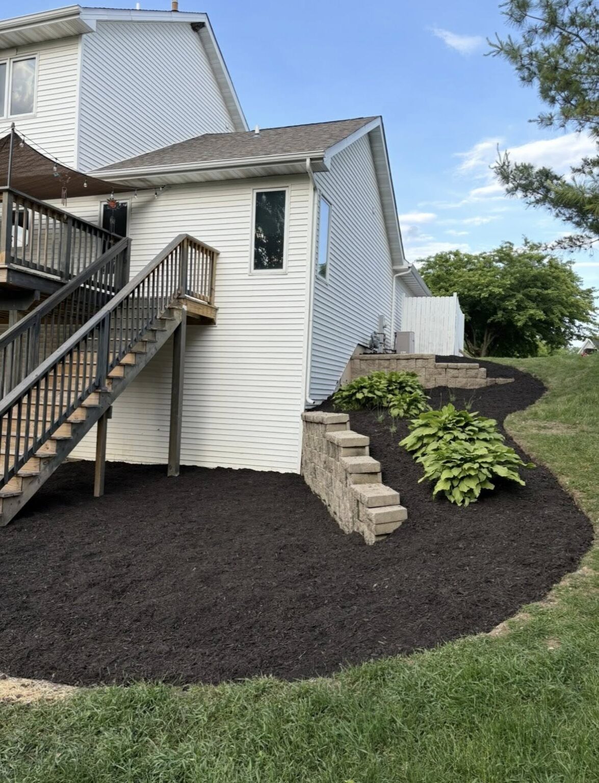 How to Choose the Perfect Trees for Your Wisconsin Landscape: A Guide ...